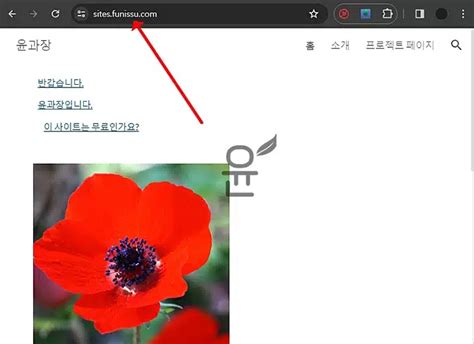 구글 사이트 도구 내 도메인 연결 방법 윤과장의 소소한 일상 이야기