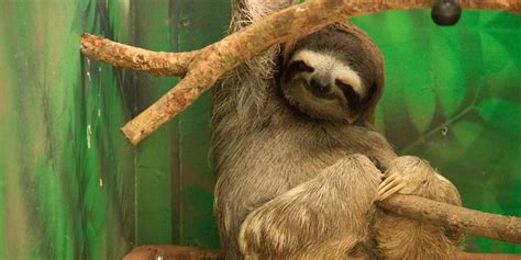 This Makes You Sound Lazy In A Job Interview Business Insider