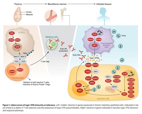 Eric Topol On Twitter Rare Genetic Disorders In The Interferon