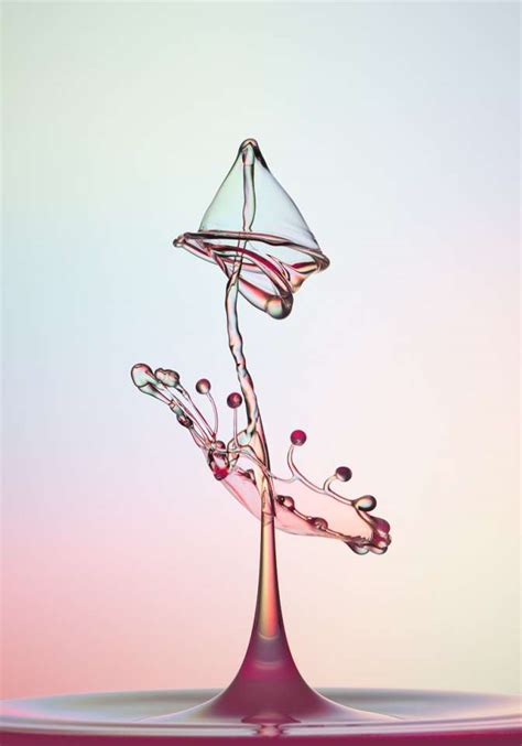 Splashes 水面に落ちる水しぶきがつくる芸術的な写真 Kconf