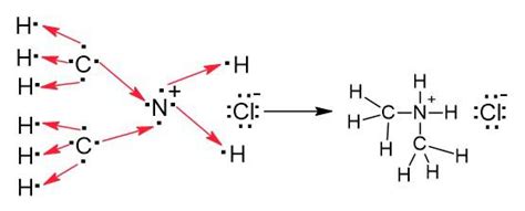 Draw a Lewis structure for $\left(\mathrm{CH}_3\right)_2 \ma | Quizlet