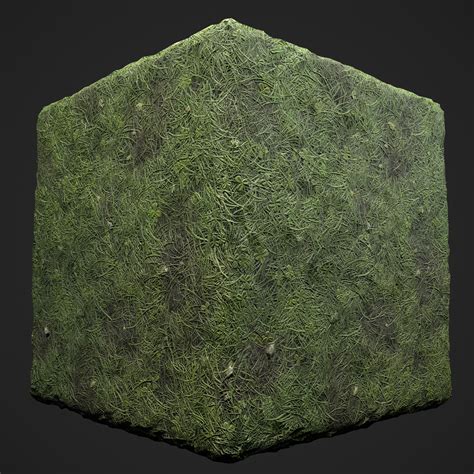 Artstation Pbr Material Grass