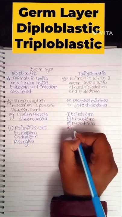 Germ Layer Diploblastic And Triploblastic And Coelom Neet 2025 Youtube