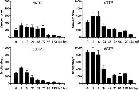 The Levels Of DNTPs At Different Developmental Stages A Total Of Download Scientific
