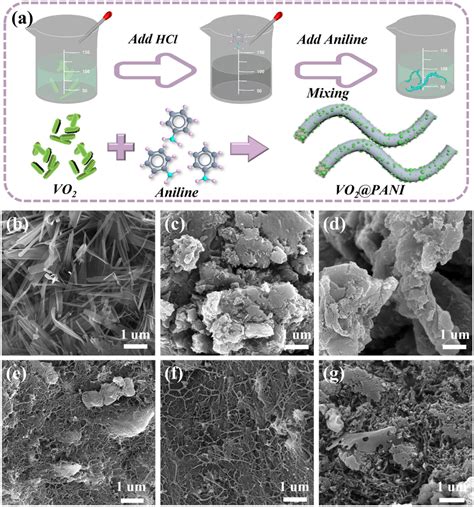 A Schematic Illustration Of The Synthesis Process Of Vo2 Pani Sem Download Scientific