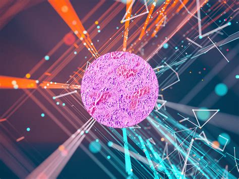 virtual histopathological stain transformation improves detection and
