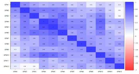 Heatmap Of Spm Ls Items Tetrachoric Correlation Download Scientific Diagram