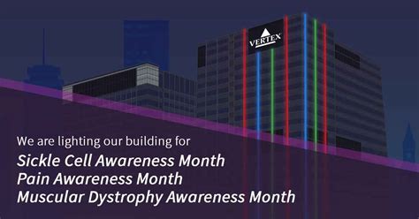 👏🏻🟥🟩🟦 Eh4jxuzy Custom Learning Designs Cld Llc