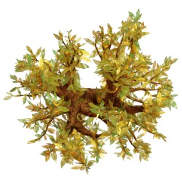 Tree Top Transparent Tree Top Tree Transparent Tree PNG Transparent