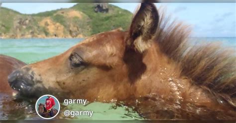 Garmygarmyのまとめ Posfie