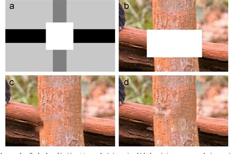 figure 7 from gradient based image completion by solving the poisson