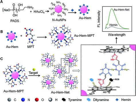 Schematic Representation Of The Cascade Assembly Of High Catalytic Download Scientific Diagram