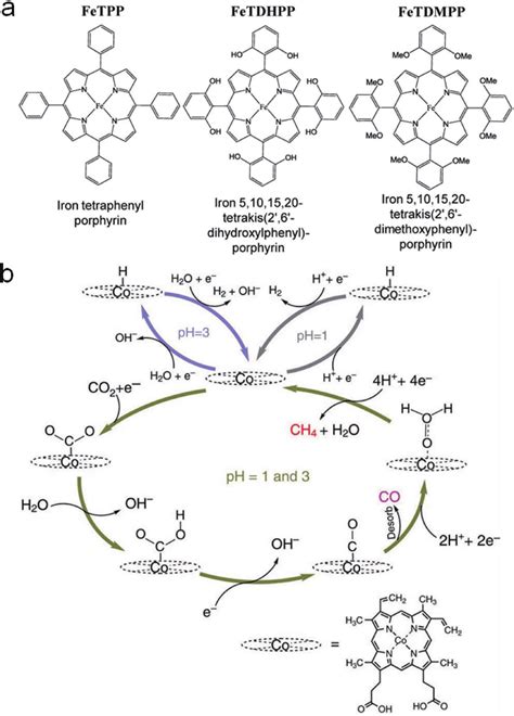 Metal Macrocyclic Complexes As Electrocatalysts For Co 2 Reduction A