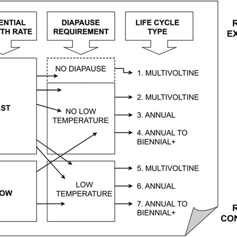 Simplified Model Of Insect Response To Environmental Warming Modified Download Scientific