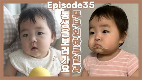 육아 브이로그 35회 뚜부동생 콩떡이를 보러가요 10개월 생활패턴 임신24주 정밀초음파 엄마하는 시기 워킹맘 육아대디 육아템 공동육아 Youtube