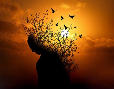 Life After Stroke American Stroke Foundation