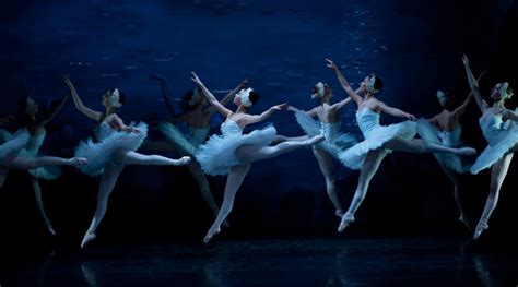 Swan Lake | Mark Aspen