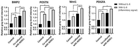 Figure 2 From Development Of Paper Based Microfluidic Platform For Analysis Of Cellular