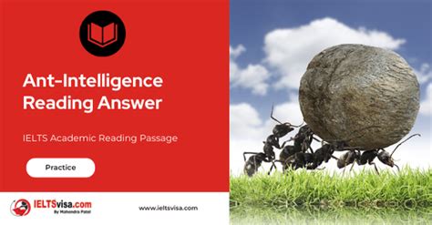 Ant Intelligence Ielts Reading Answers And Tips