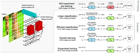 190509272 Data Efficient Image Recognition With Contrastive Predictive Coding