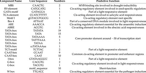 Analysis Of Cis−acting Elements In The Brgolden Promoter Download