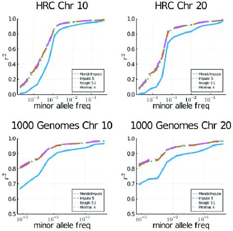 imputation accuracy for imputed genotypes of the 1000 genomes project