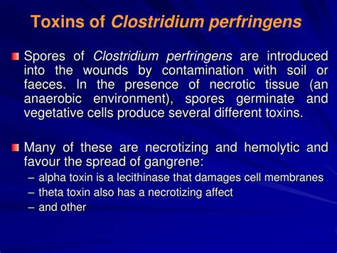 Ppt Pathogenesis Of Bacterial Infection Pathogenicity Toxigenicity Virulence Powerpoint