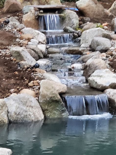 Pond Classes Are Returning To Falling Water Gardens Falling Water