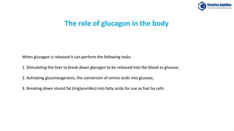 Glucagon And Glucagon Signaling Creative Peptides Ppt