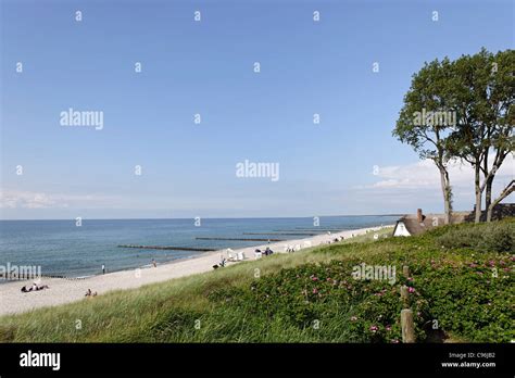 Strohdach Haus Am Strand Von Ahrenshoop Halbinsel Fischland Darß