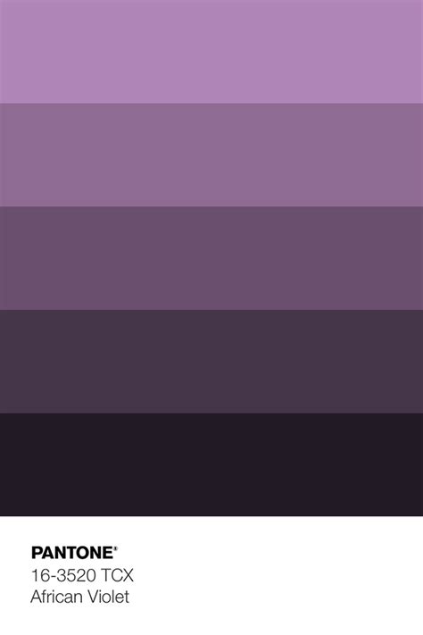 Pantone African Violet