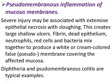 Morphologic Patterns Of Acute Inflammation Dr Ayser Hameed