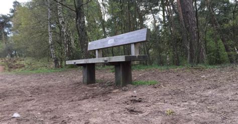 Het Ase Model Populair Maar Ontoereikend Shift Gedrag