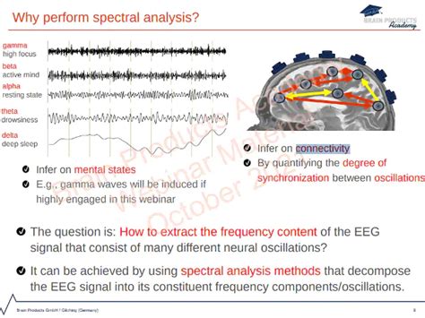 neuroinsight