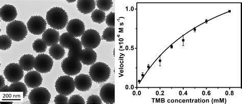 Iridium Nanoparticles As Highly Effective Peroxidase Mimics Synthesis Characterization And