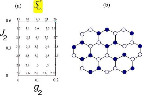 A Structure Function Of The Collinear State Along The Z Axis