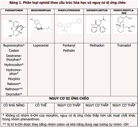 Dị ứng Liên Quan đến Sử Dụng Opioid