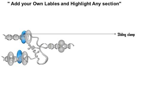0814 DNA Replication Medical Images For Powerpoint Template Presentation Sample Of PPT