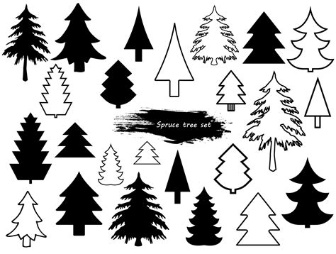 Vector Set Of Different Coniferous Trees 16081525 Vector Art At Vecteezy