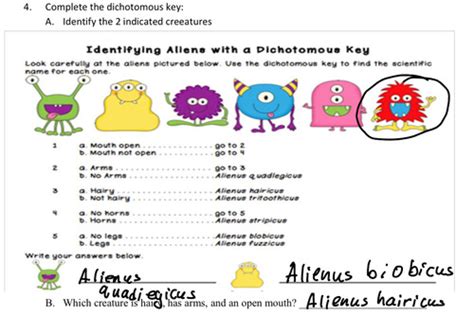 Classification Taxonomy Body Systems Flashcards Quizlet