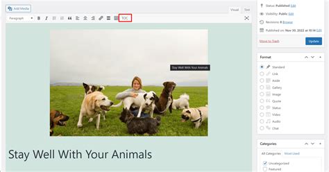 How To Add Toc Using A Wysiwyg Button Easy Table Of Contents
