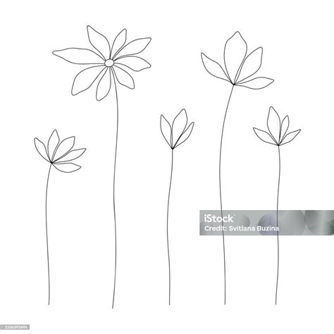 야생 추상 손으로 그린 선 색상 흑인과 백인 그래픽 벡터 일러스트 레이 션 플랫 디자인의 집합 0명에 대한 스톡 벡터 아트 및 기타 이미지 Istock