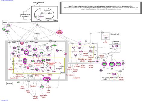 Graphical Representation Of The Differentially Expressed Genes Within