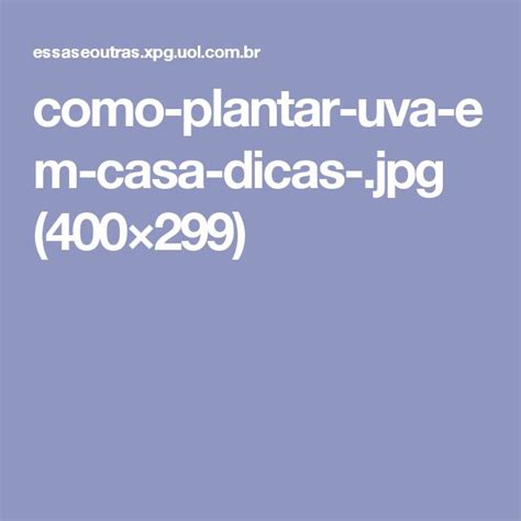 Como Plantar Uva Dicas