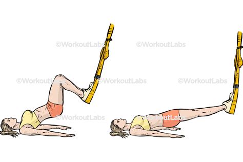 Hamstring Curls