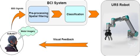 GitHub BatyaGG BCI Controlled UR Manipulator Python Implementation Of Motor Imagery Real Time