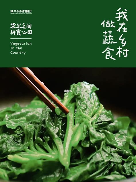 我在乡村做蔬食｜快速营养的蔬菜烹饪法 花瓣网