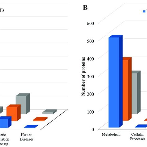 Heatmap Presenting Differentially Expressed Proteins The Proteins In