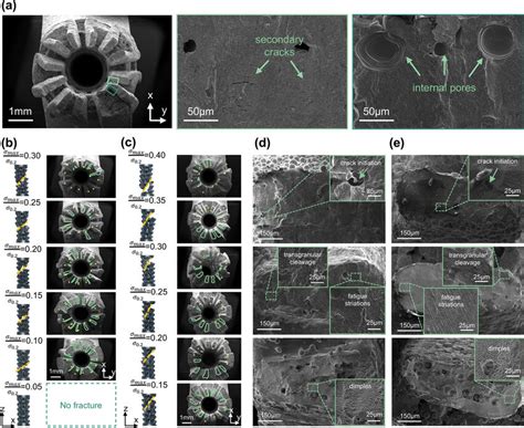 Typical Fracture Morphologies Of As And Ns Specimens After Fatigue
