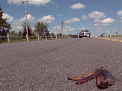 Odoyle Rules Odoyle Rules Odoyle Rules Billy Madison Clip Cafe